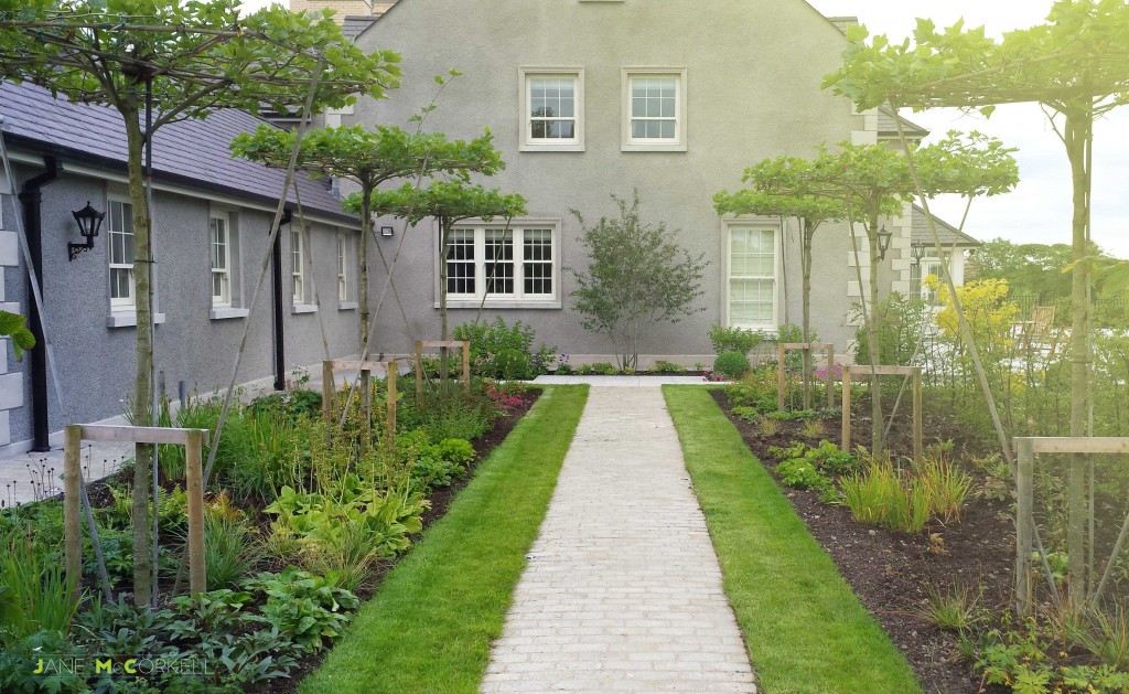 CountyDown borders | Jane McCorkell Design